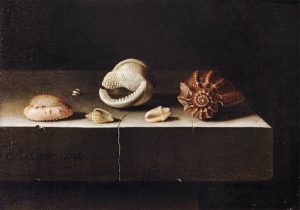 The Shell Paintings of Adrienne Coorte – Jeffrey Hayes