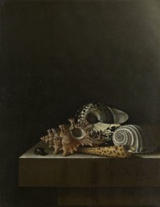 The Shell Paintings of Adrienne Coorte – Jeffrey Hayes