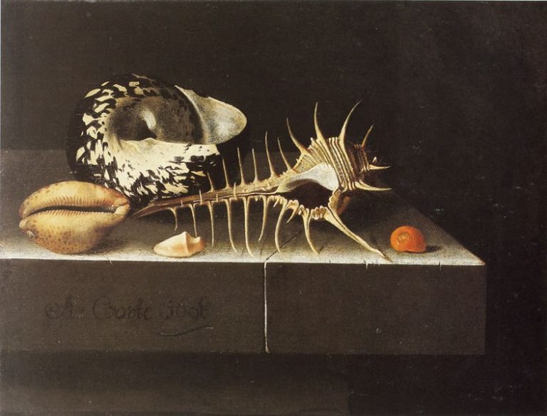 The Shell Paintings of Adrienne Coorte – Jeffrey Hayes